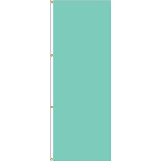 Aqua Tall Flag 3x8' Nylon | Quality Flags